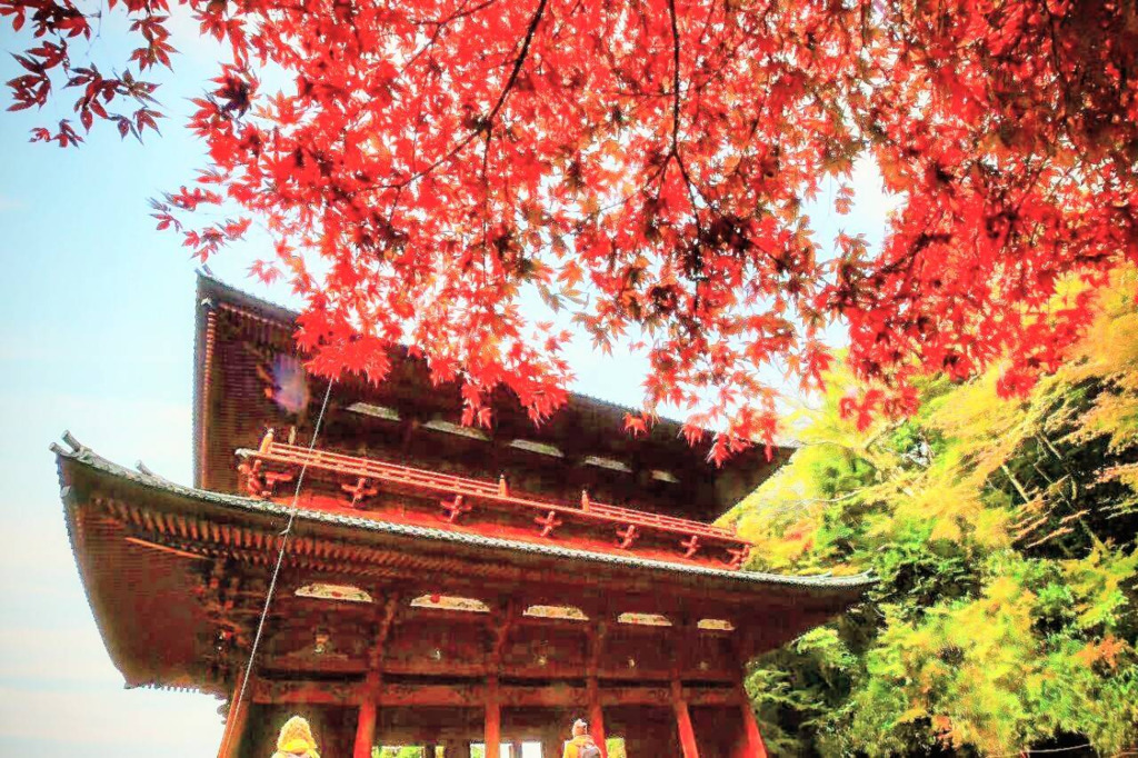 高野山秋景色♪ 写友島本掲示板 - zawazawa